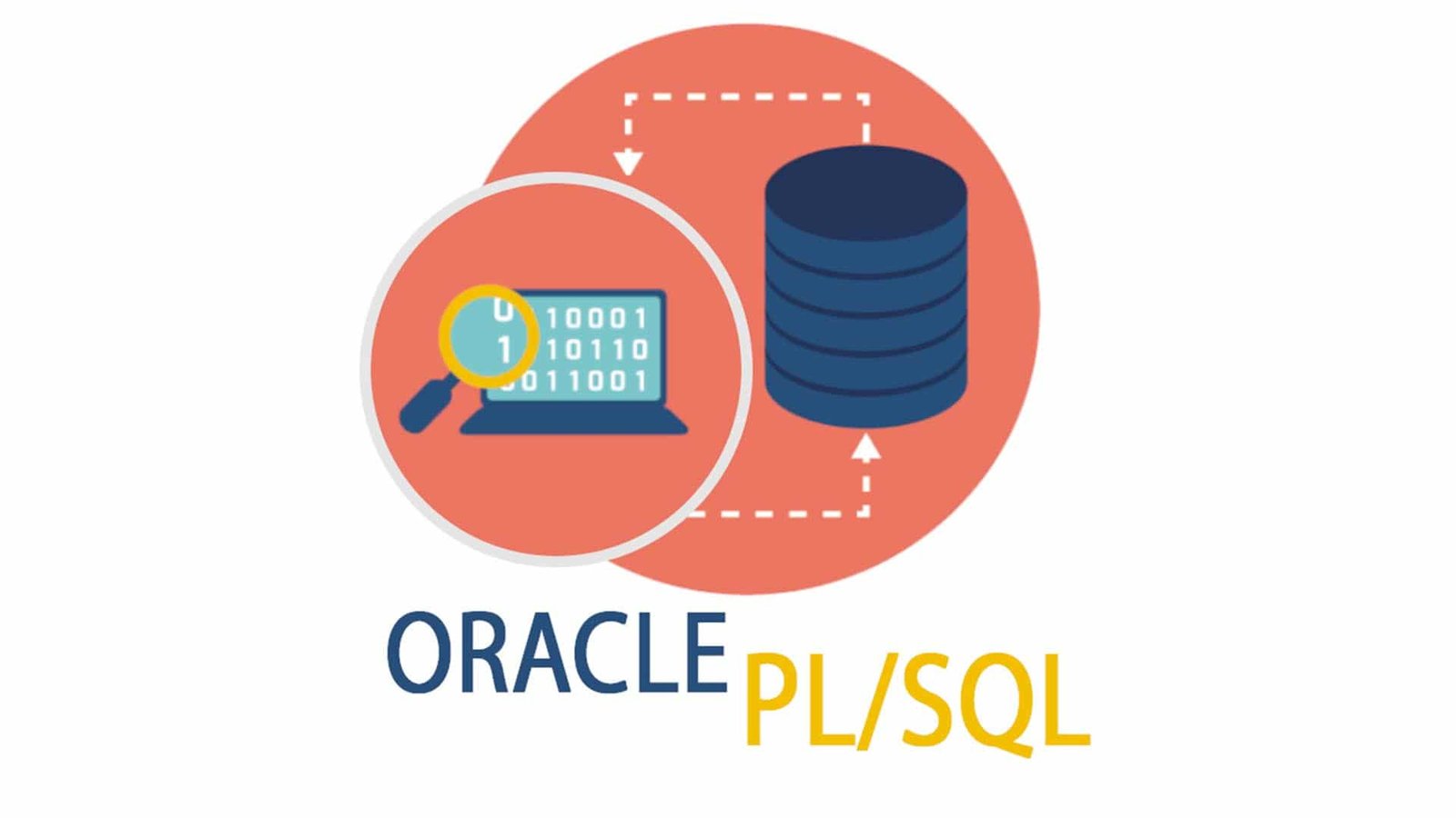 Los Mejores Cursos Gratis De Oracle SQL CardBiss Los Mejores Cursos Gratis De Oracle SQL CardBiss